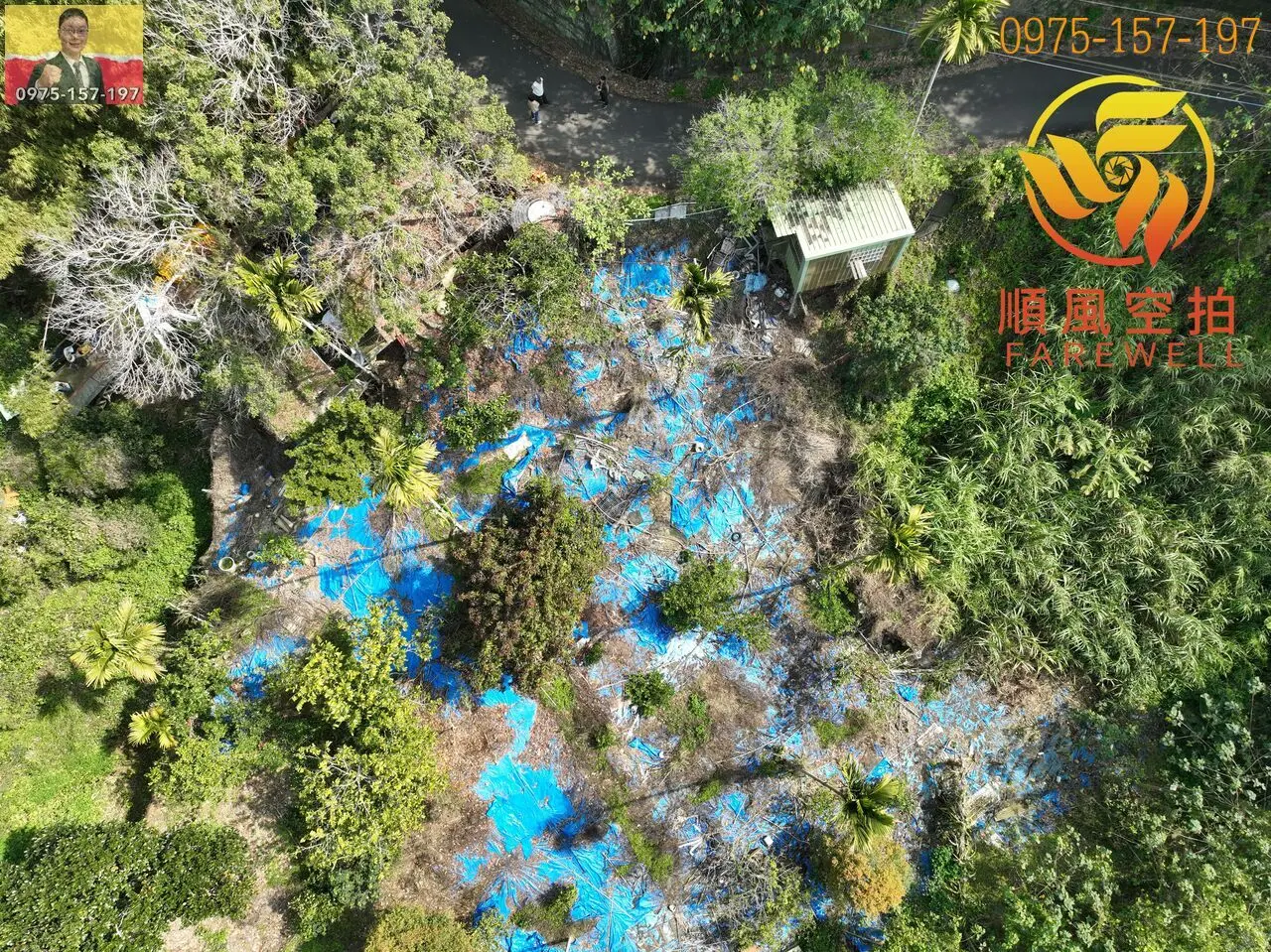 yes319房屋市集-台灣319鄉 一網買進(新埔低總價超值果園 ~ 總價：268.00萬 ~ 新竹縣新埔鎮)