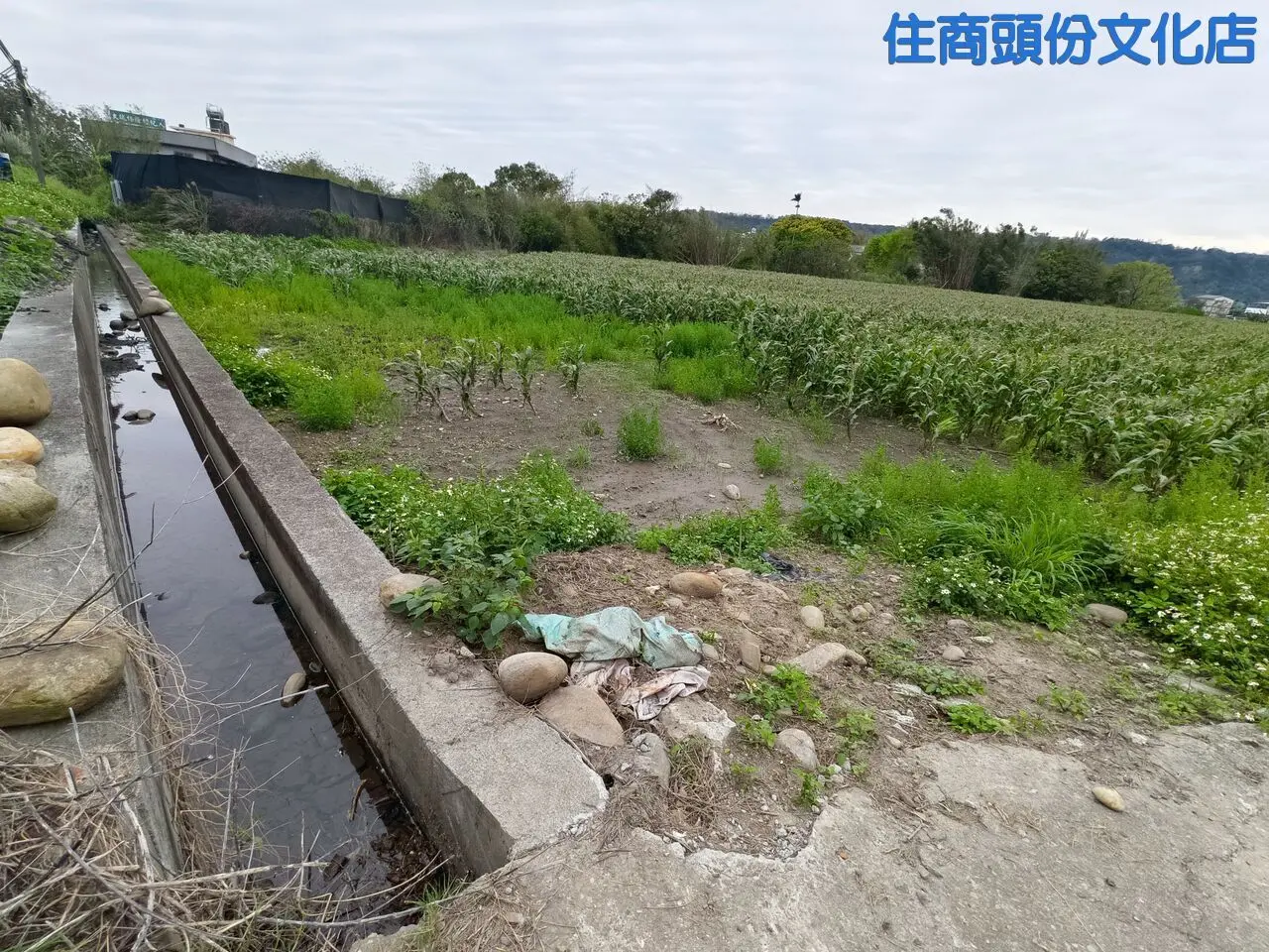 yes319房屋市集-台灣319鄉 一網買進(J704公館交流道農地 ~ 總價：7123.00萬 ~ 苗栗縣公館鄉)