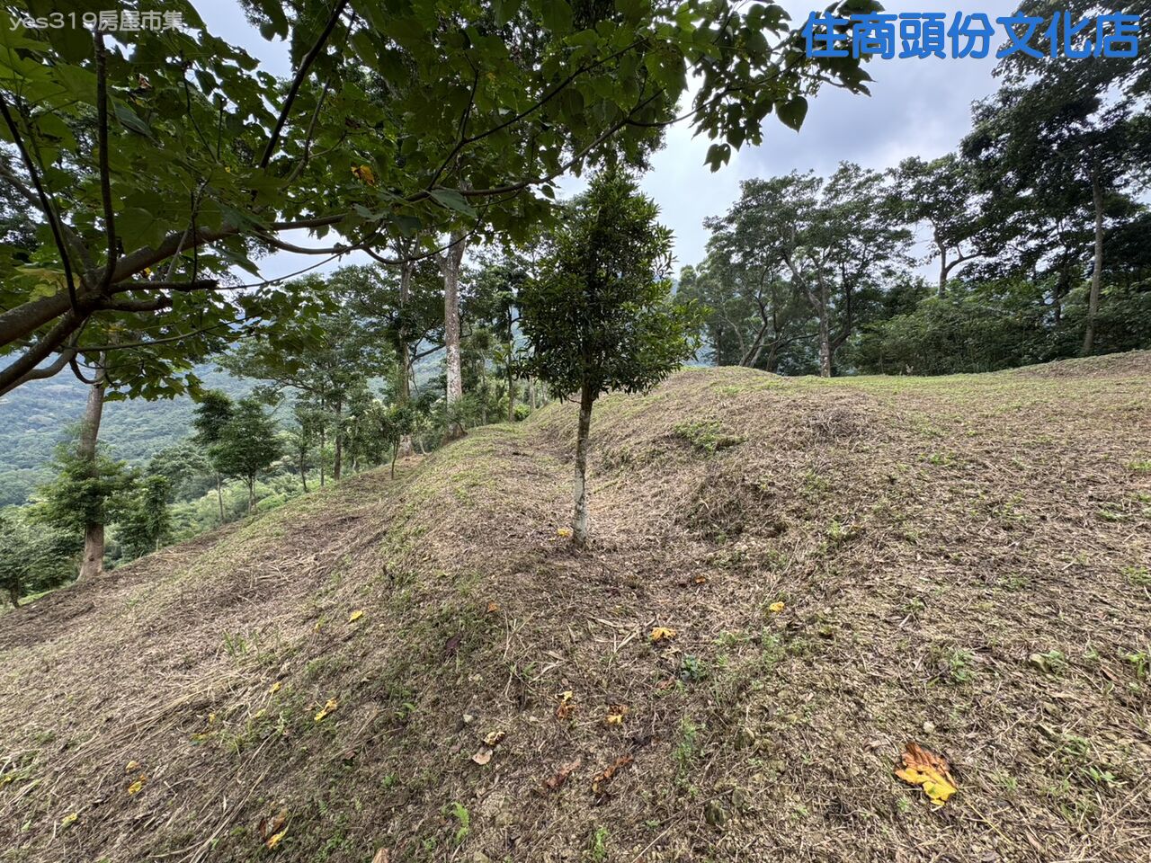 yes319房屋市集-台灣319鄉 一網買進(J754觀山景海景美農地(A) ~ 總價：680.00萬 ~ 苗栗縣獅潭鄉)