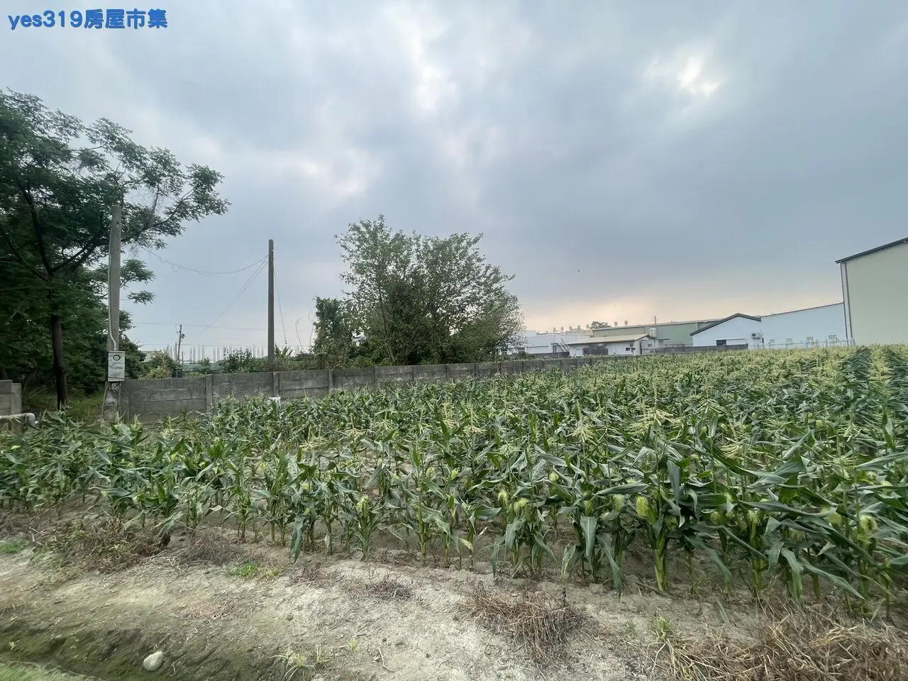 yes319房屋市集-台灣319鄉 一網買進(IZ6專任重建小段有塊小建地 ~ 總價：225.00萬 ~ 雲林縣斗南鎮)