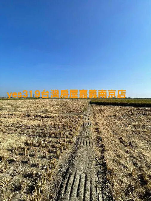 yes319房屋市集-台灣319鄉 一網買進(雲林北港農保用地 ~ 總價：128.00萬 ~ 雲林縣北港鎮)