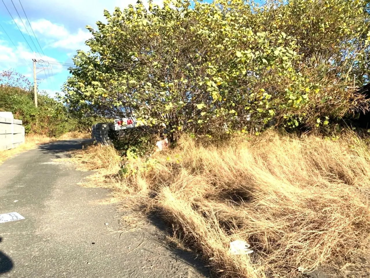 yes319房屋市集-台灣319鄉 一網買進(屏南工業建地(一) ~ 總價：450.00萬 ~ 屏東縣枋寮鄉)