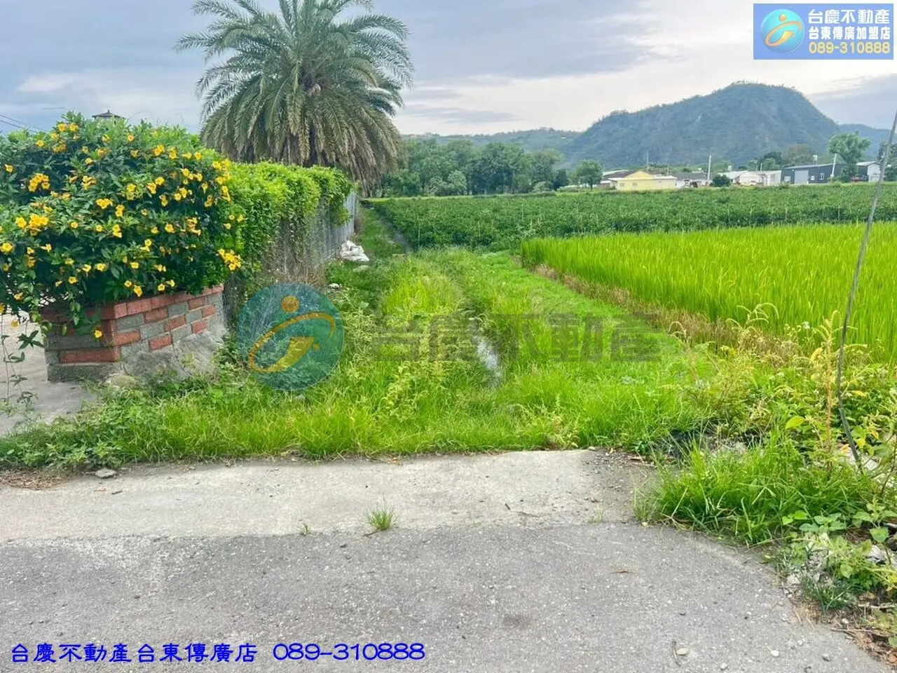 yes319房屋市集-台灣319鄉 一網買進(F498台東大橋旁一般農業區 ~ 總價：4365.00萬 ~ 台東縣台東市永和段)